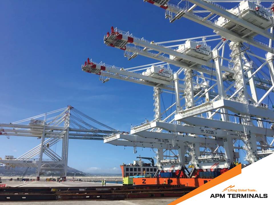 Tanger Med II: APM Terminals MedPort Tangier reçoit ses équipements